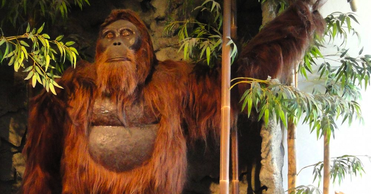 10 Enormous Details Surrounding Gigantopithecus, The Largest Ape That ...